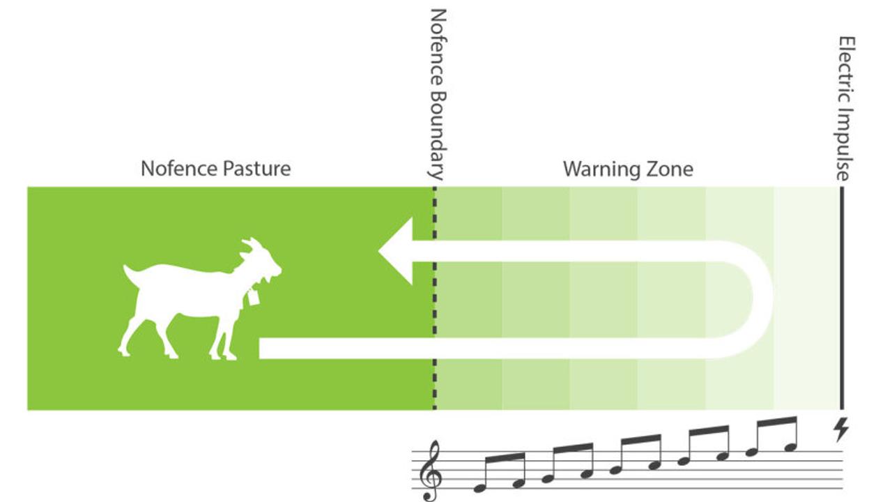 Nofence offers the world’s first virtual fence for grazing animals ...