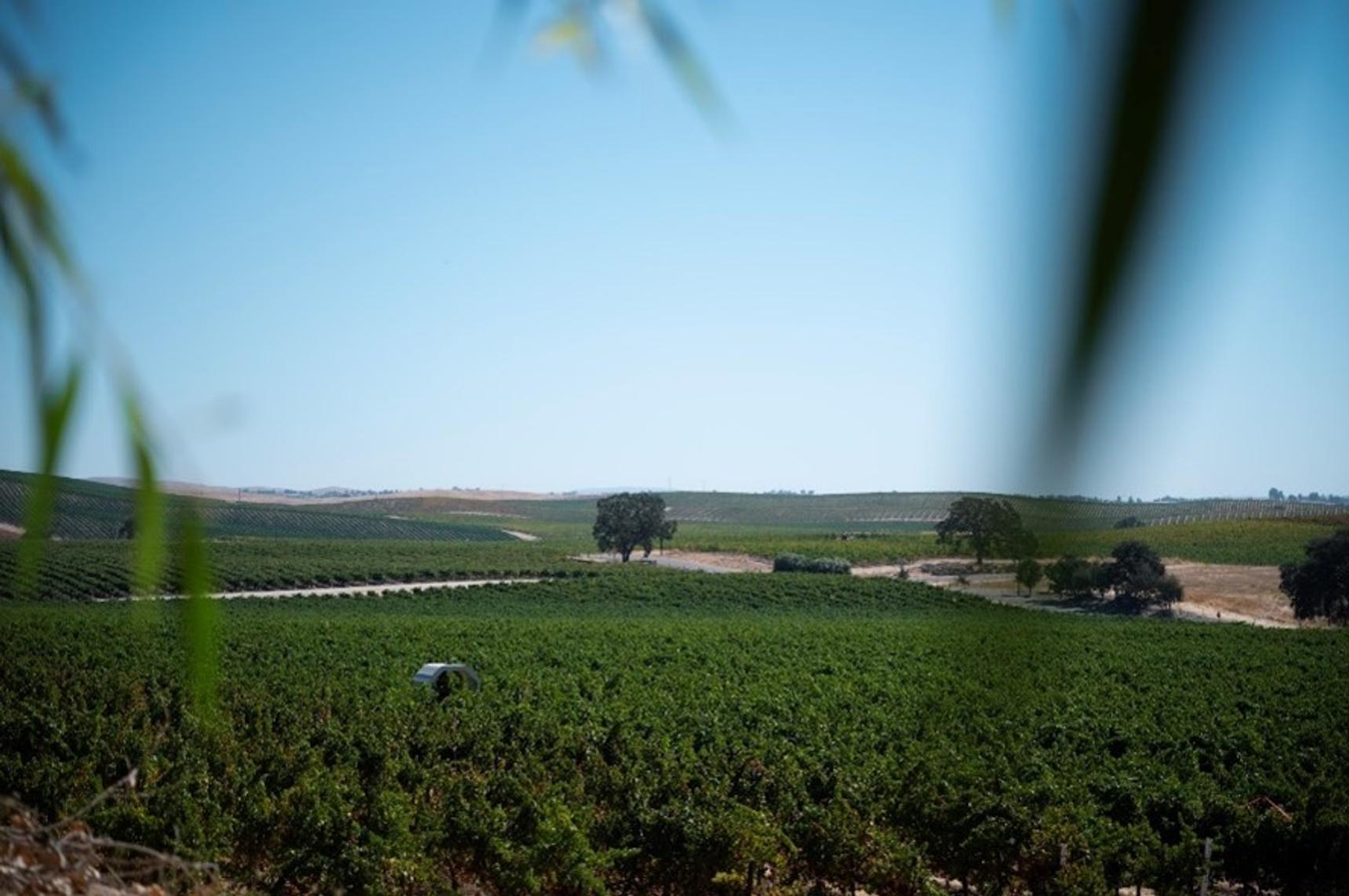 Saga Robotics’ autonomous robot Thorvald transforms global agriculture