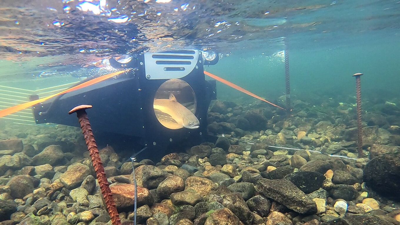 Marine science: tremendous potential for machine learning