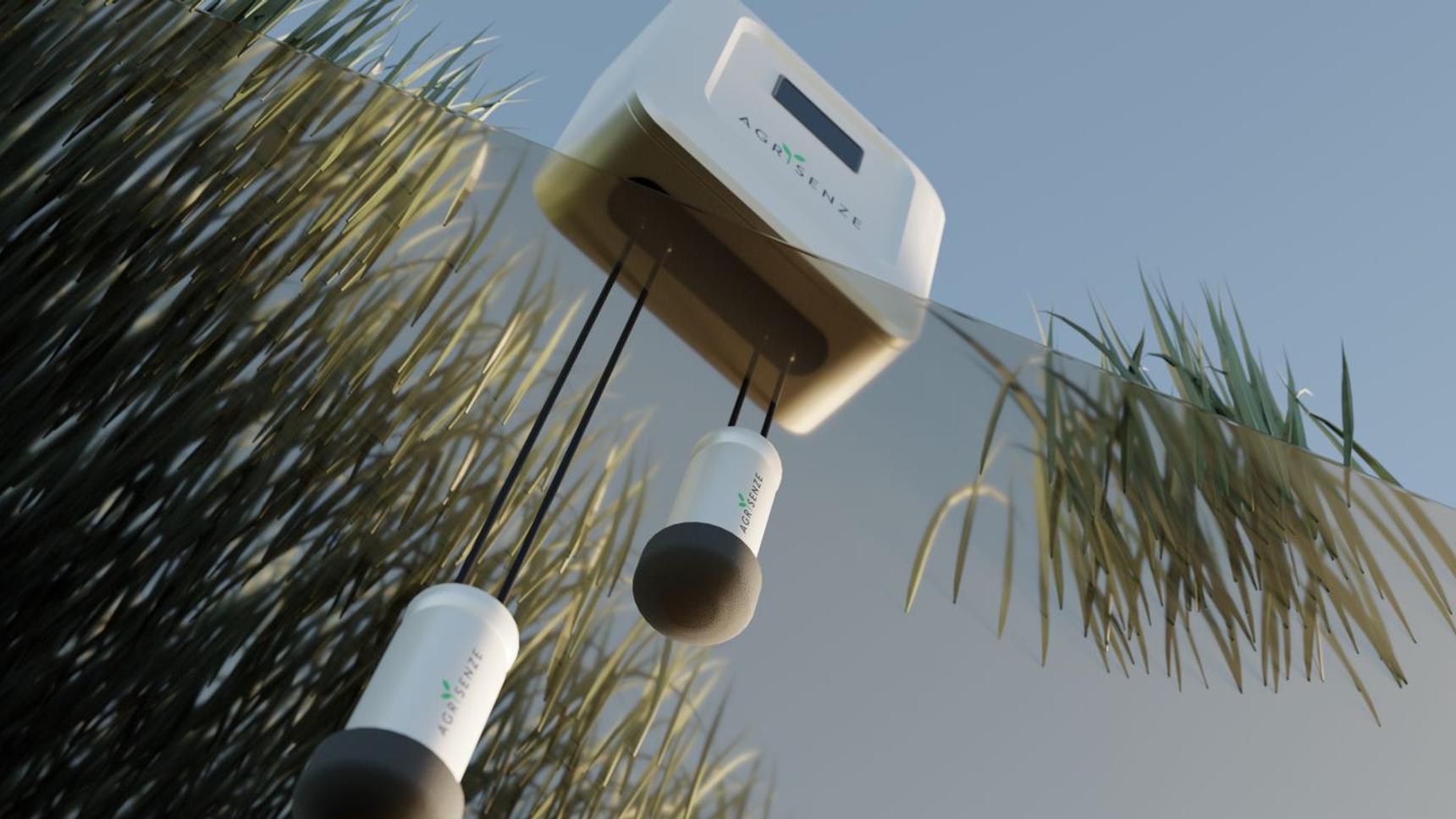 AgriSenze nitrate biosensor ends toxic overfertilisation | Business Norway