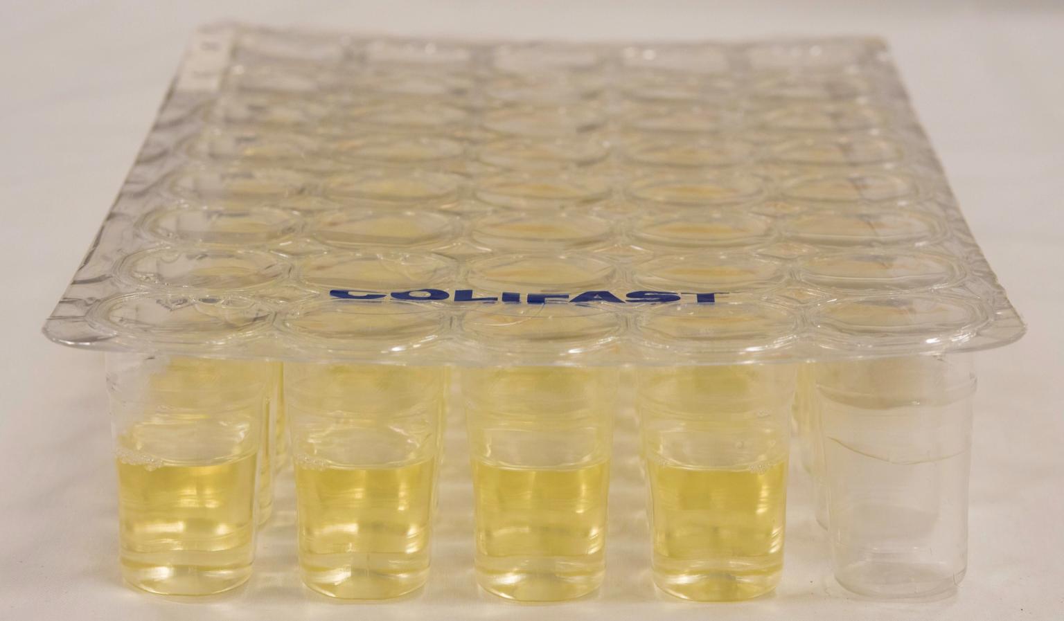 Colifast CALM™ gives early warning of coliforms in diverse water sources