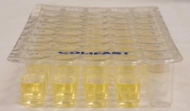 Colifast CALM™ gives early warning of coliforms in diverse water sources
