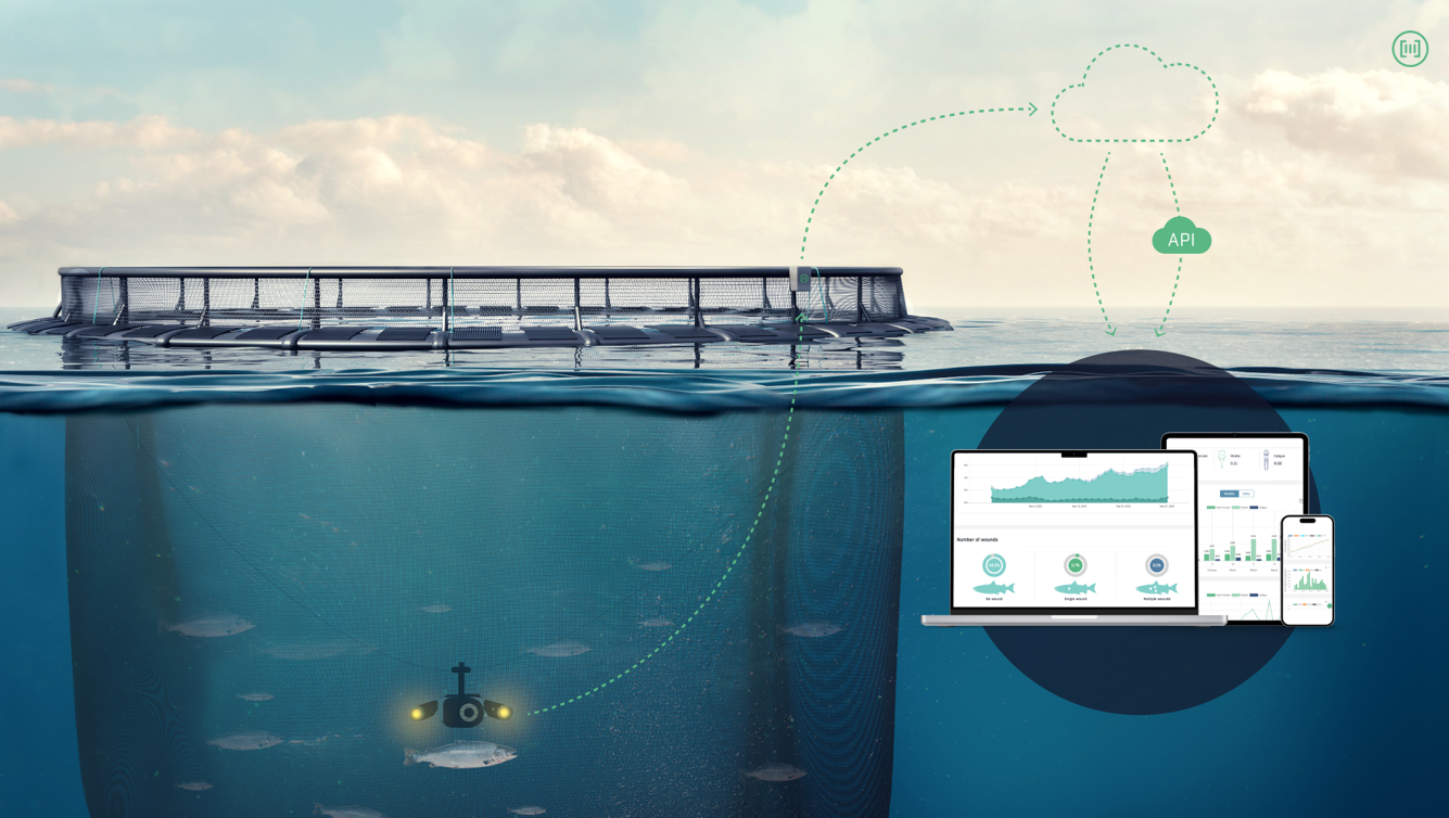 OptoScale aquaculture technology: Made in Norway | Business Norway