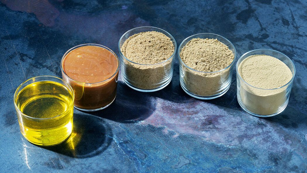 Norilia hydrolysed poultry proteins for better health and ...