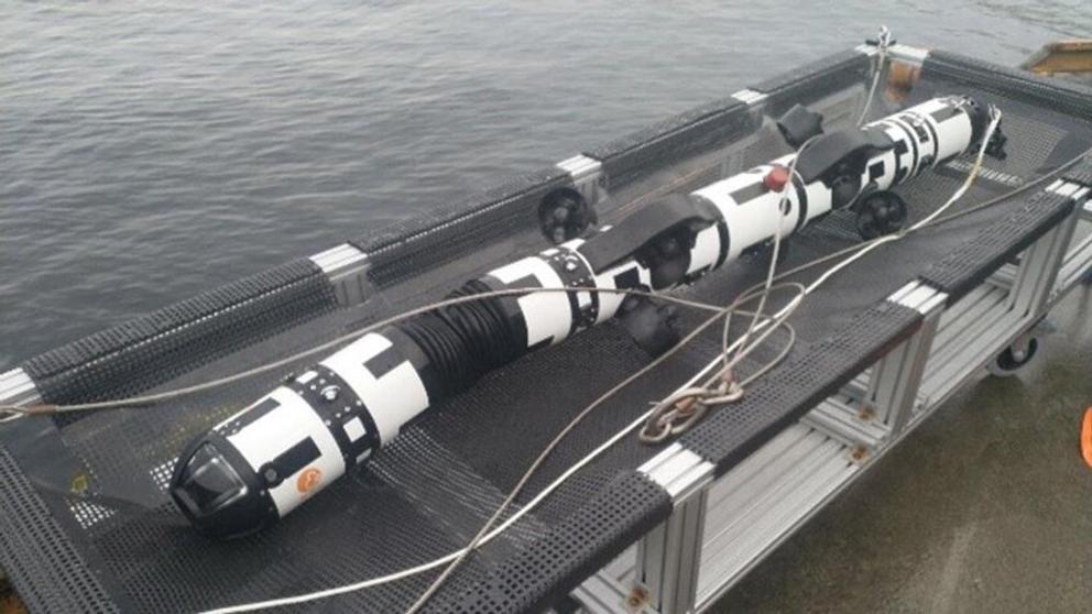 Eelume is a game-changer in subsea inspection | Business Norway