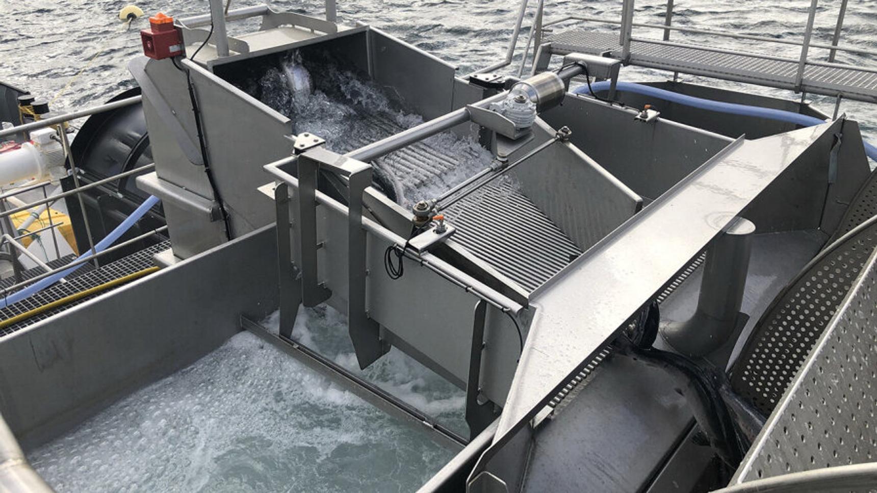 Optimar eliminates sea lice without drugs or chemicals | Business Norway