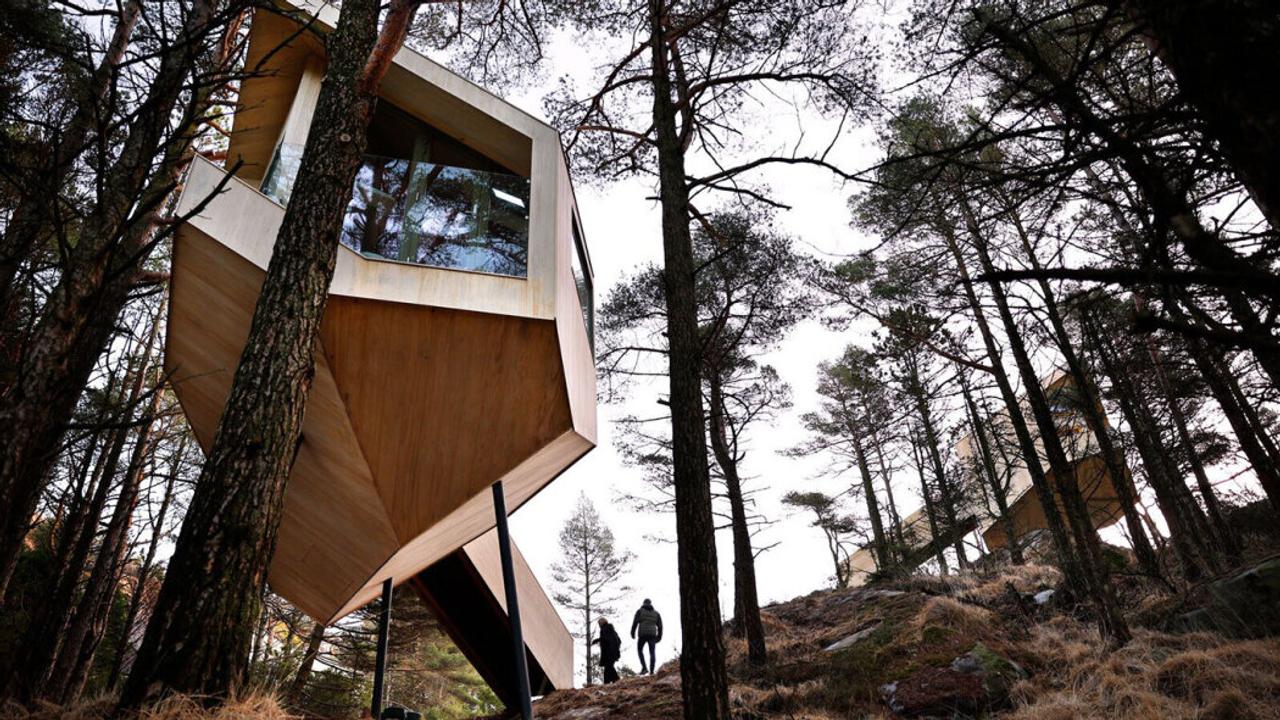 Versatile Norwegian wood grows in sustainable uses | Business Norway