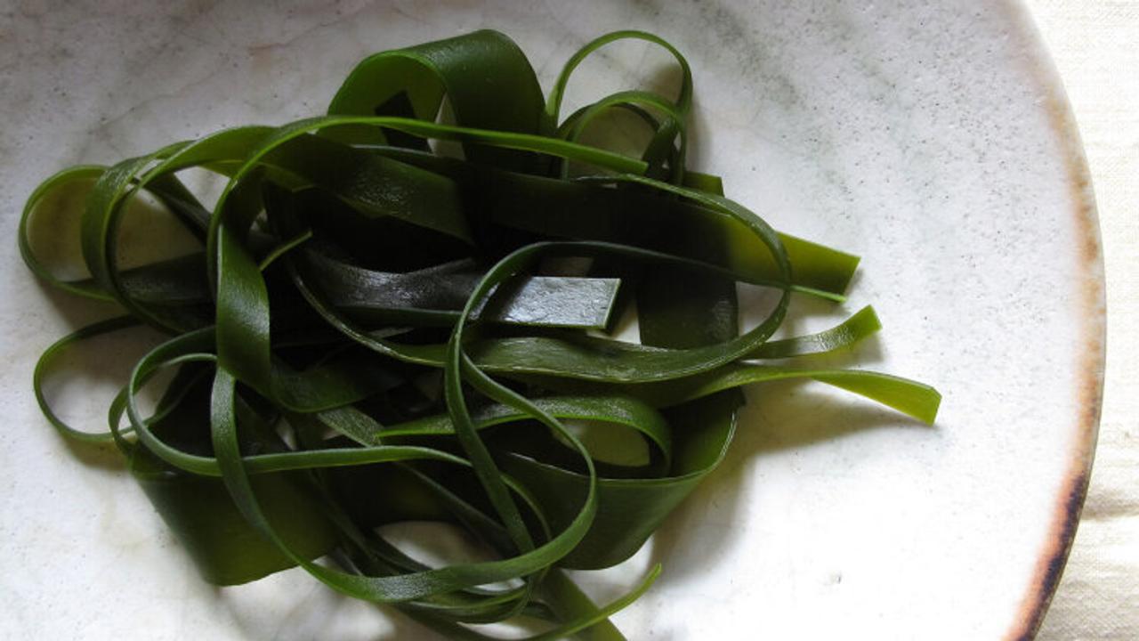 Seaweed: a fast-growing resource for future nutrition | Business Norway