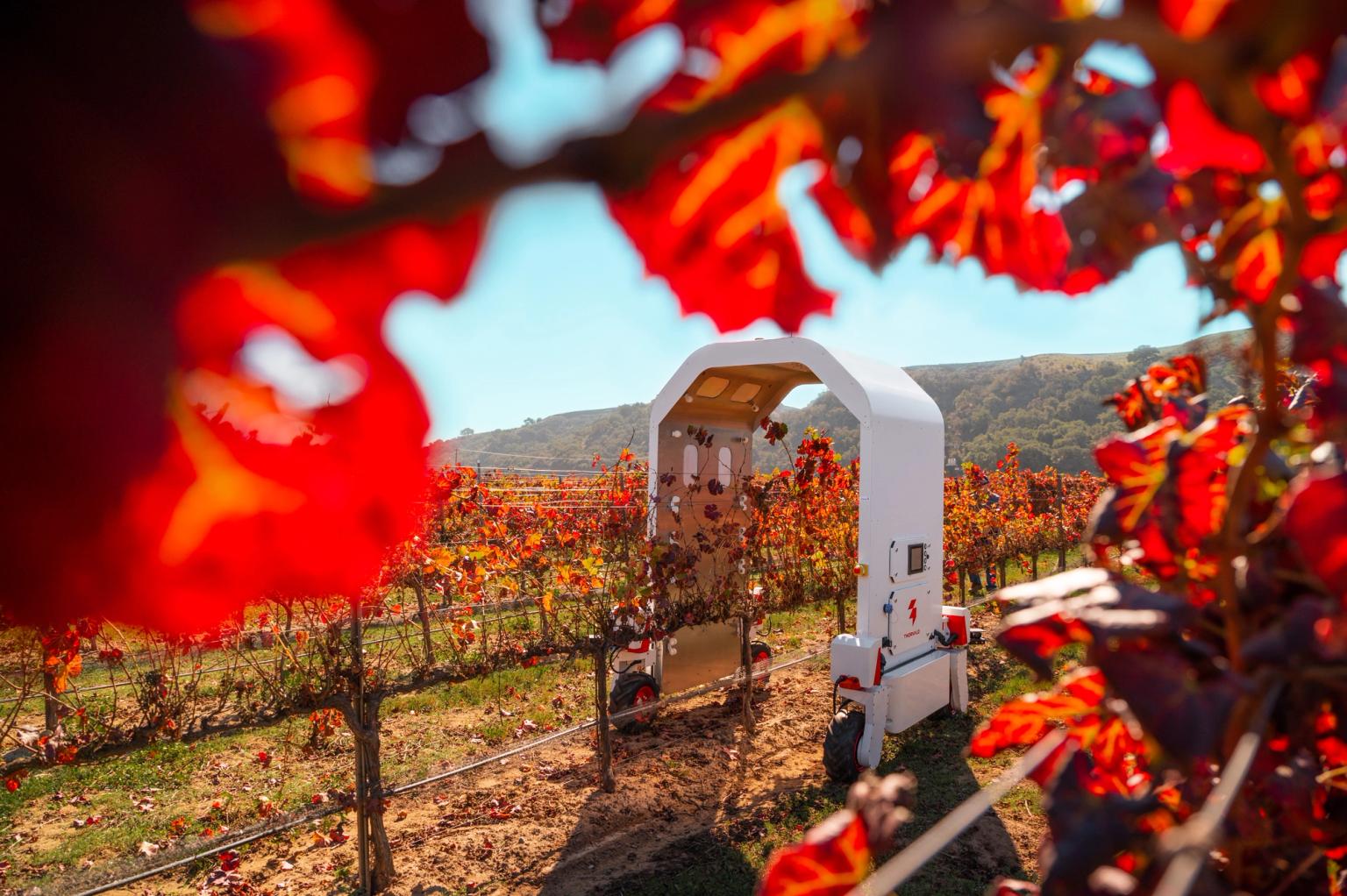 Saga Robotics’ autonomous robot Thorvald transforms global agriculture ...