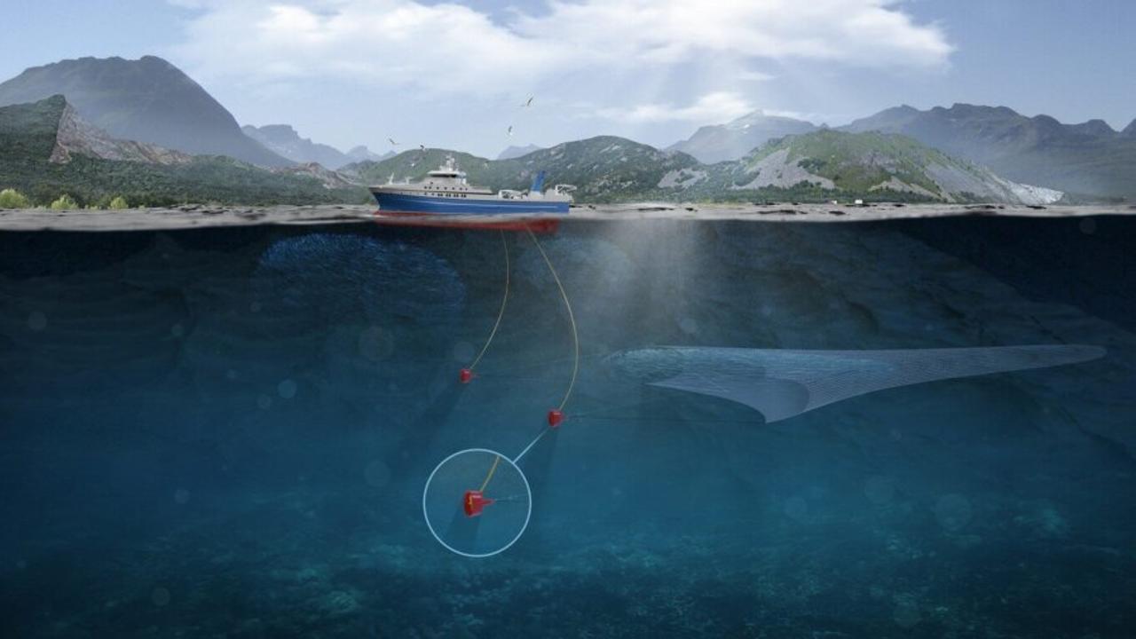 ECO Trawl is making trawling more efficient and environment-friendly ...