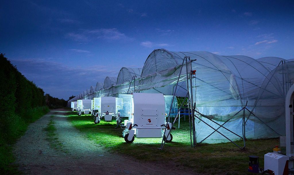 Saga Robotics’ autonomous robot Thorvald transforms global agriculture