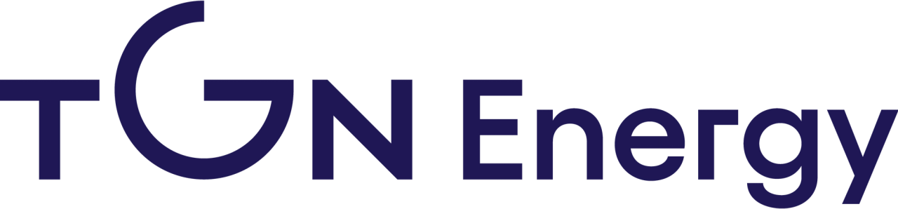 TGN Energy increases energy efficiency in commercial buildings