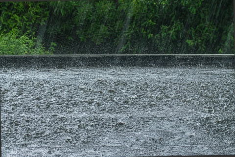 Sensor Innovation uses AI to monitor humidity in buildings | Business ...