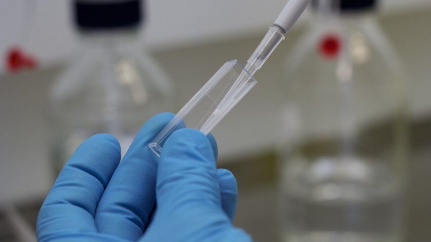 Cryogenetics preserves fish genes