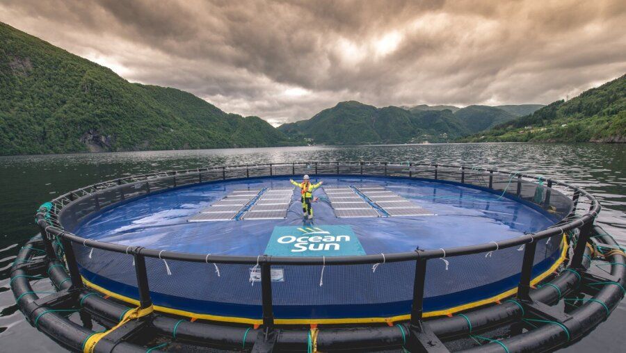 Ocean Sun pioneering floating solar power solutions | Business Norway