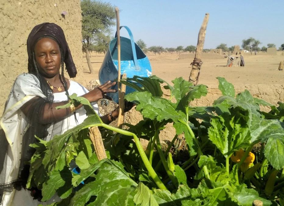Enabling Dry Season Farming During Humanitarian Crisis | Humanitarian ...