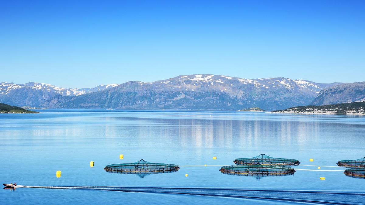 Skipsfart og fiske | Innovasjon Norge