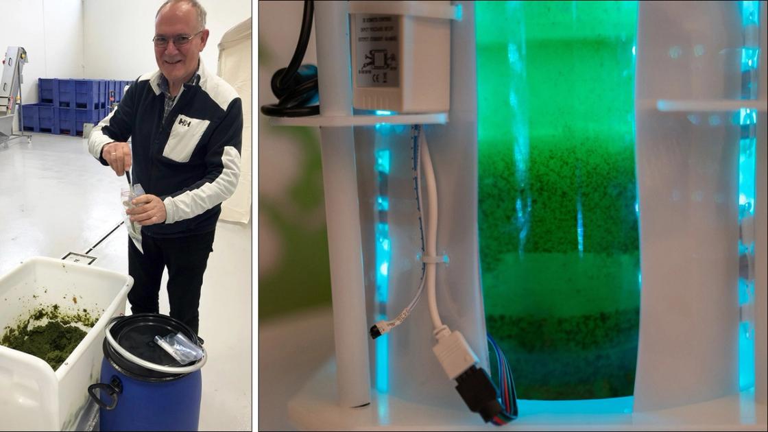 Matavfall skal gi økt matproduksjon | Innovasjon Norge