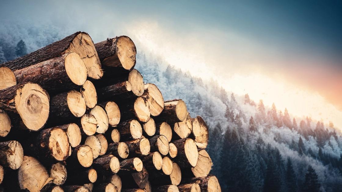 Investeringer i gårdsvarmeanlegg | Innovasjon Norge