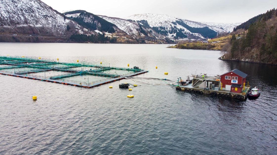 Lager biogass av fiskeavføring | Innovasjon Norge