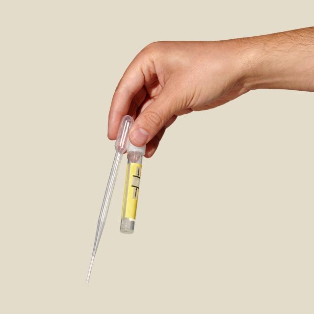 Mykoplasma: smitte, symptomer og behandling | Hans