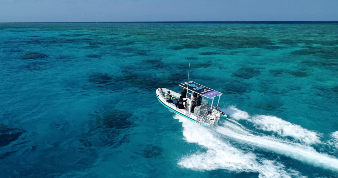 Reef Legacy