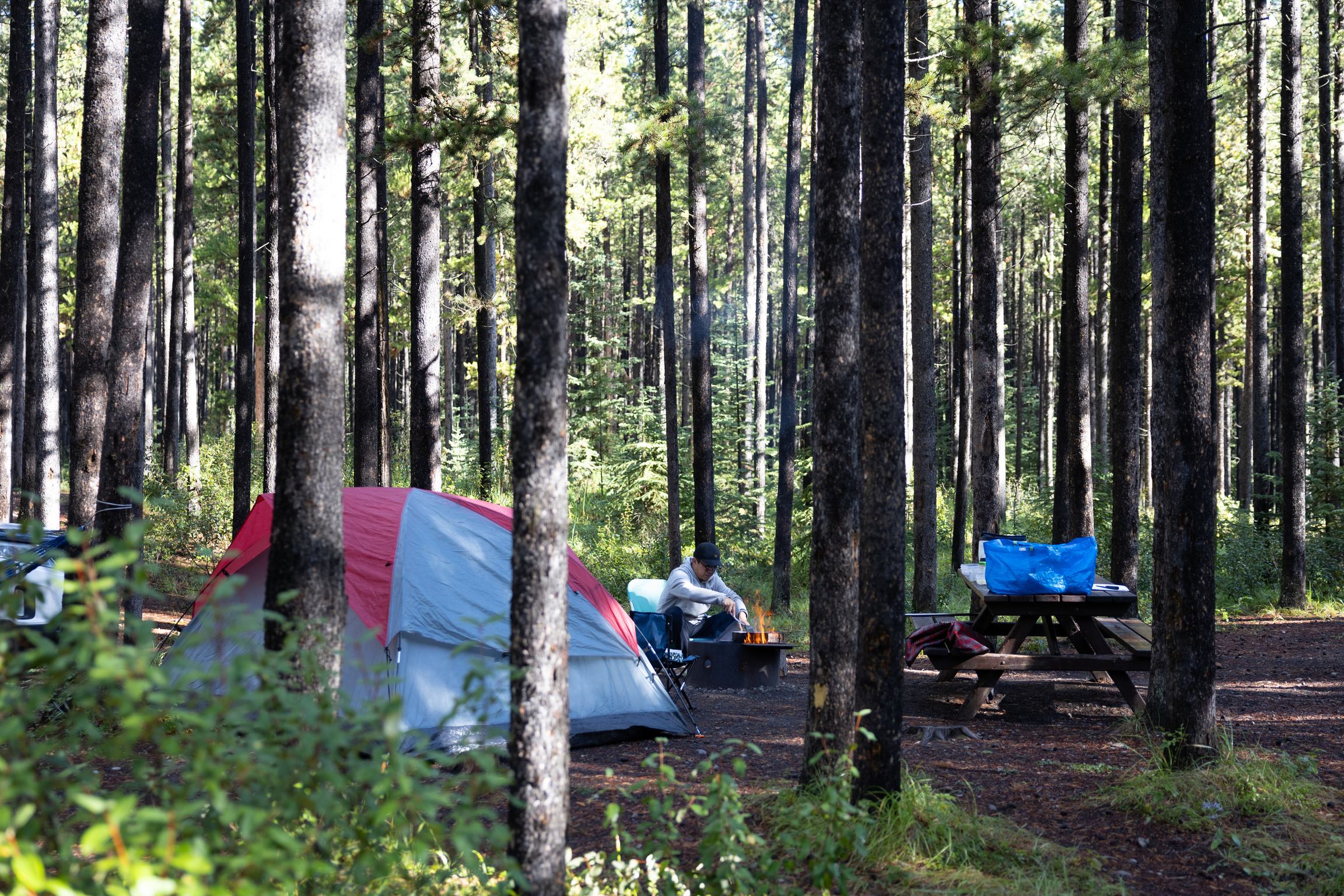 Two Jack Main Campground | Alberta Canada