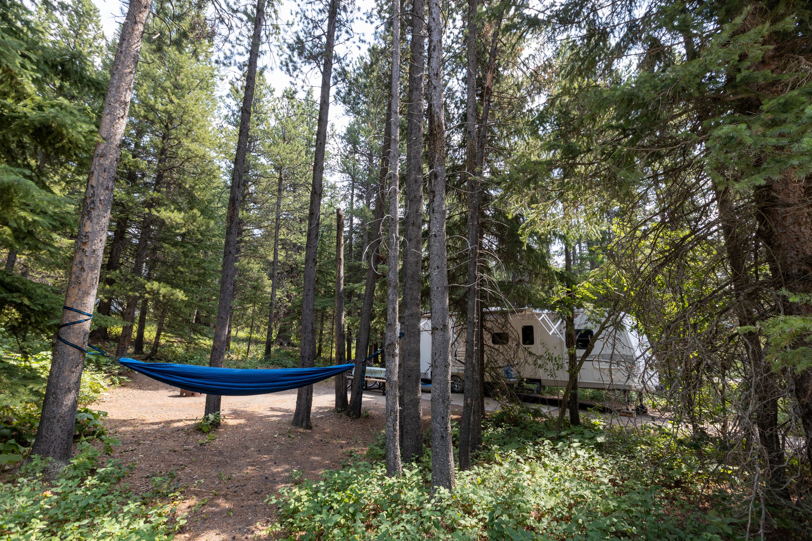 Beaver Mines Lake Campground | Canada's Alberta