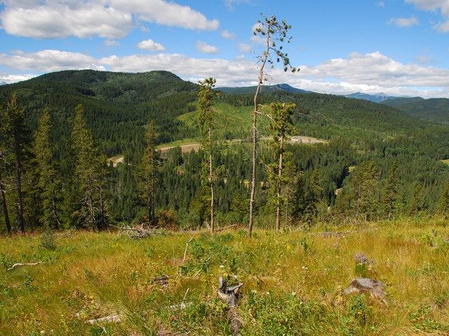 Mesa Butte Provincial Recreation Area | Alberta Canada