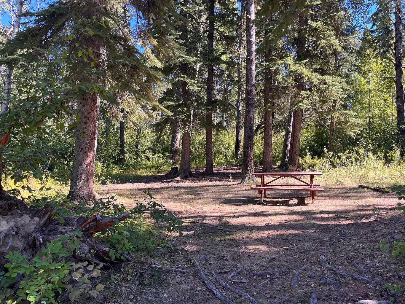 Spring Lake Campground | Canada's Alberta