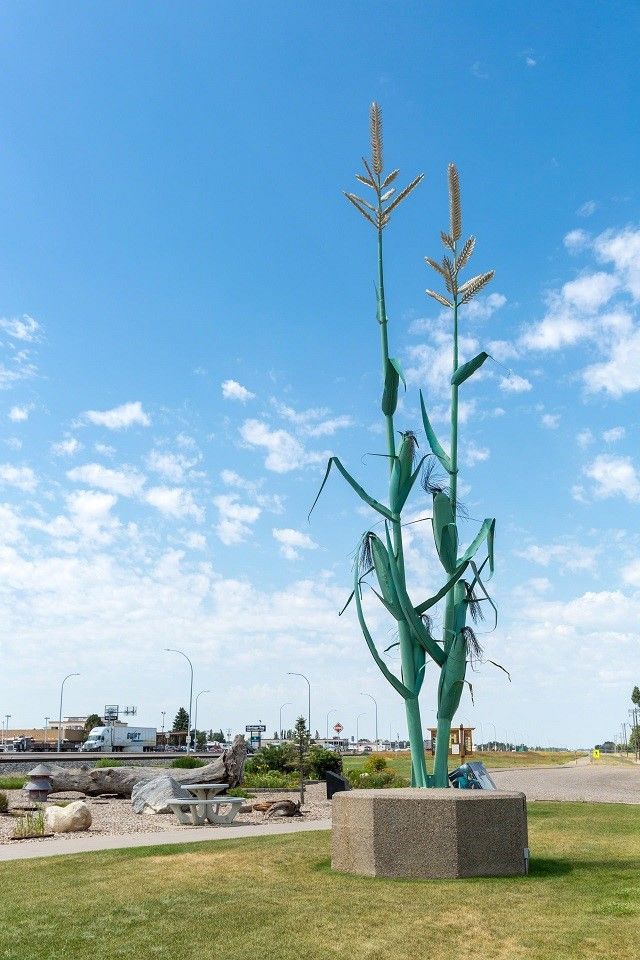 Taber Giant Corn Stalk | Canada's Alberta