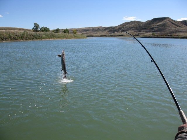 Alberta Sturgeon Fishing Adventures | Canada's Alberta