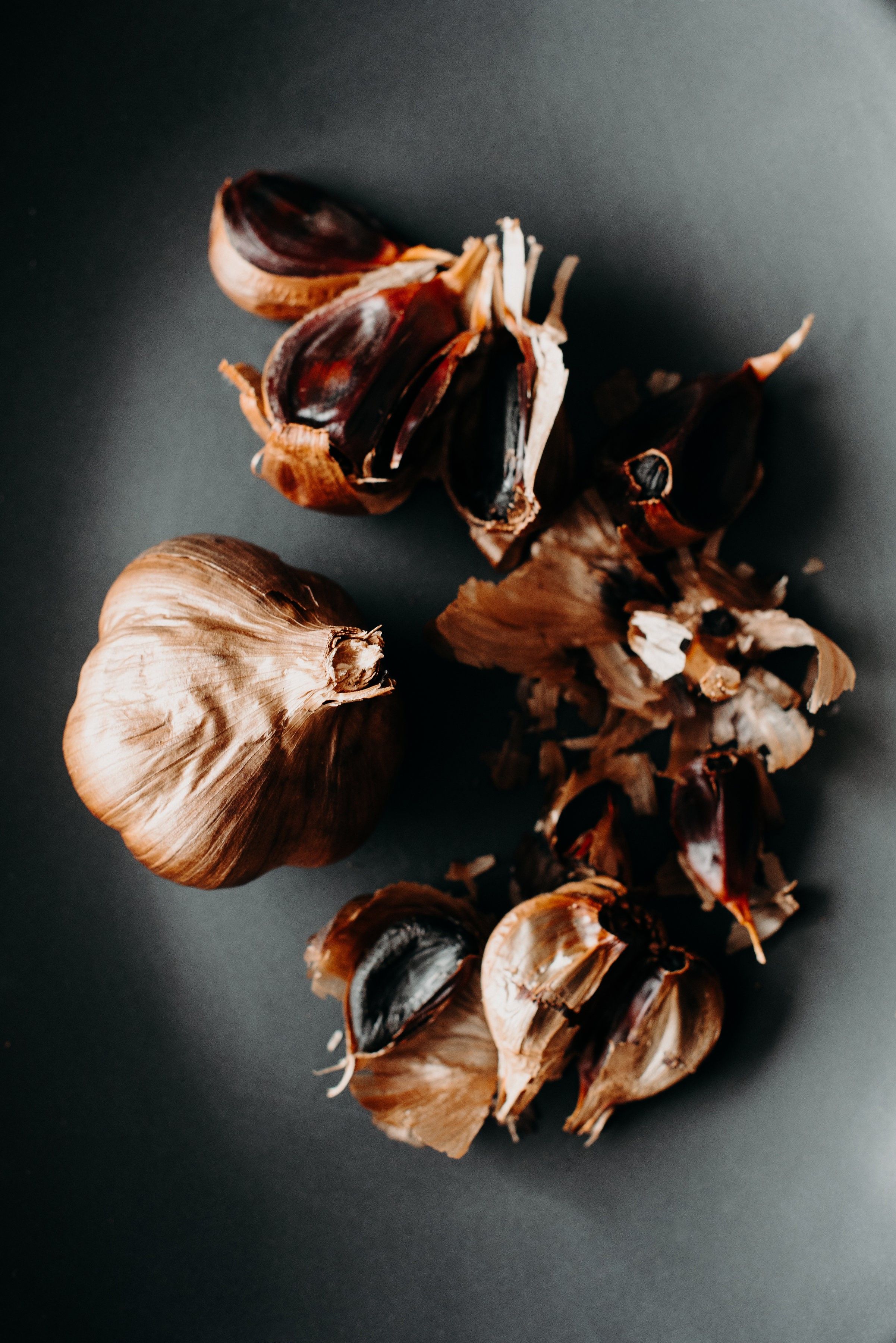 Forage & Farm | Canada's Alberta