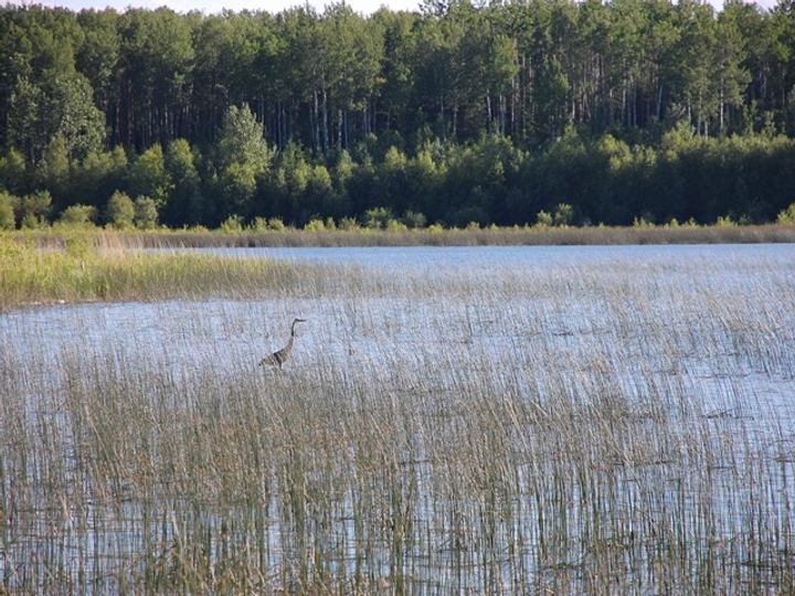 Chain Lakes Provincial Park | Alberta Canada
