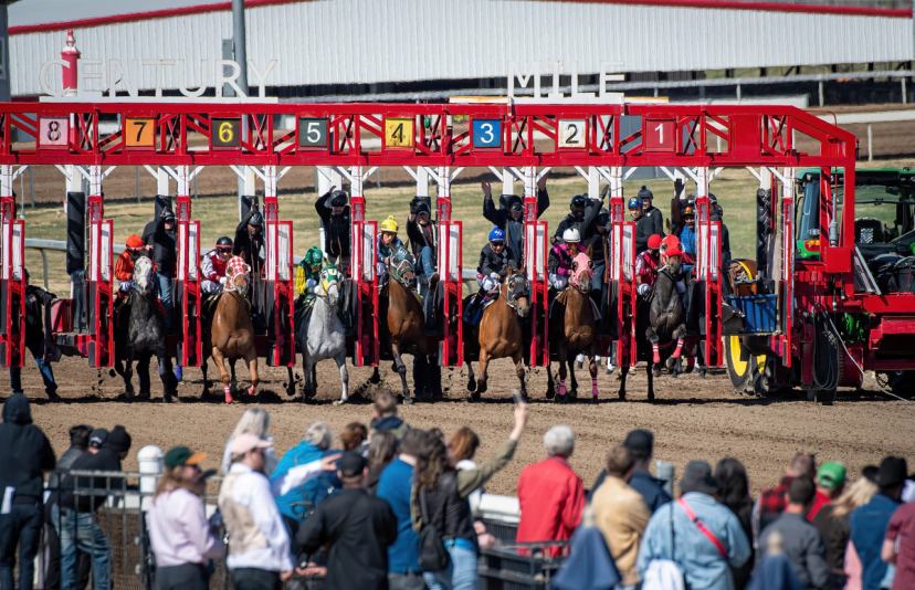 Century Mile Racetrack and Casino | Canada's Alberta
