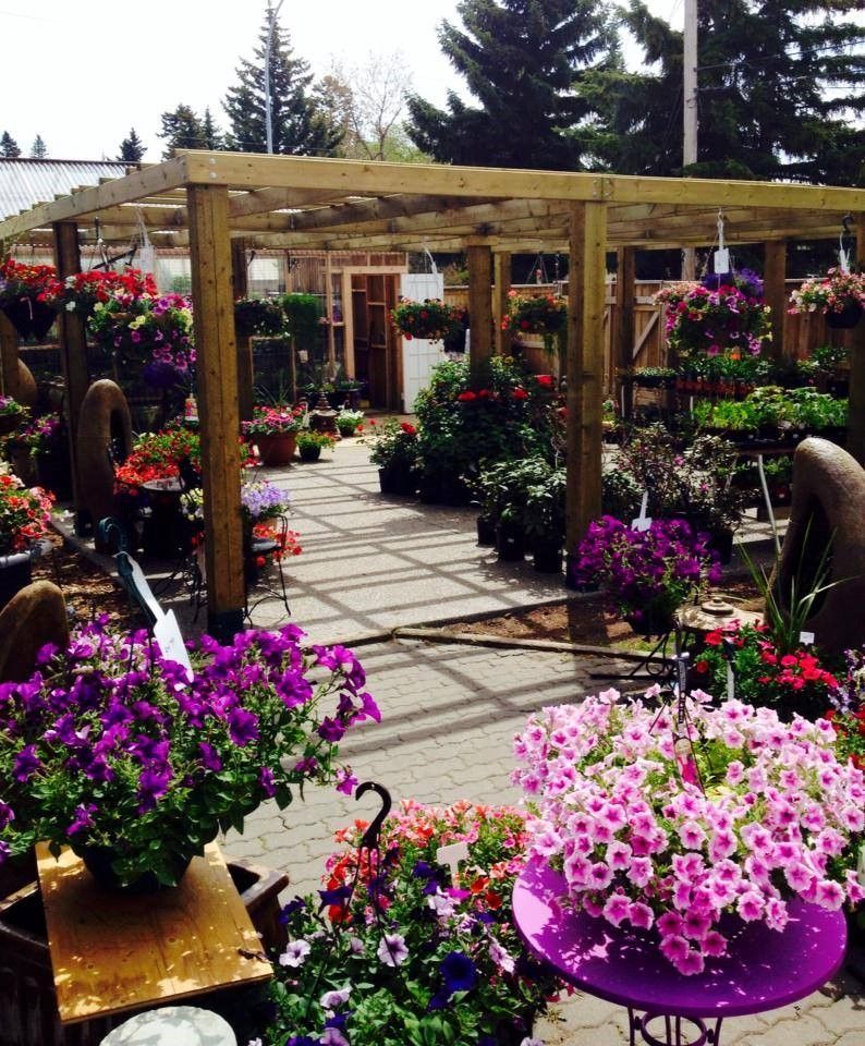 The Lady Bug Studio | Canada's Alberta