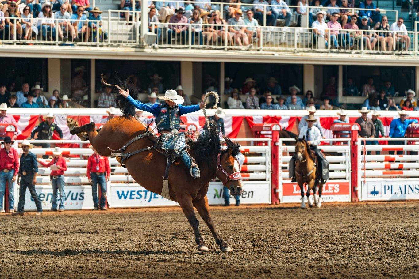 Calgary Stampede | Alberta Canada