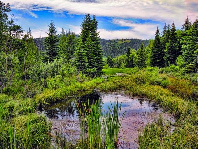 Beauvais Lake Provincial Park | Canada's Alberta