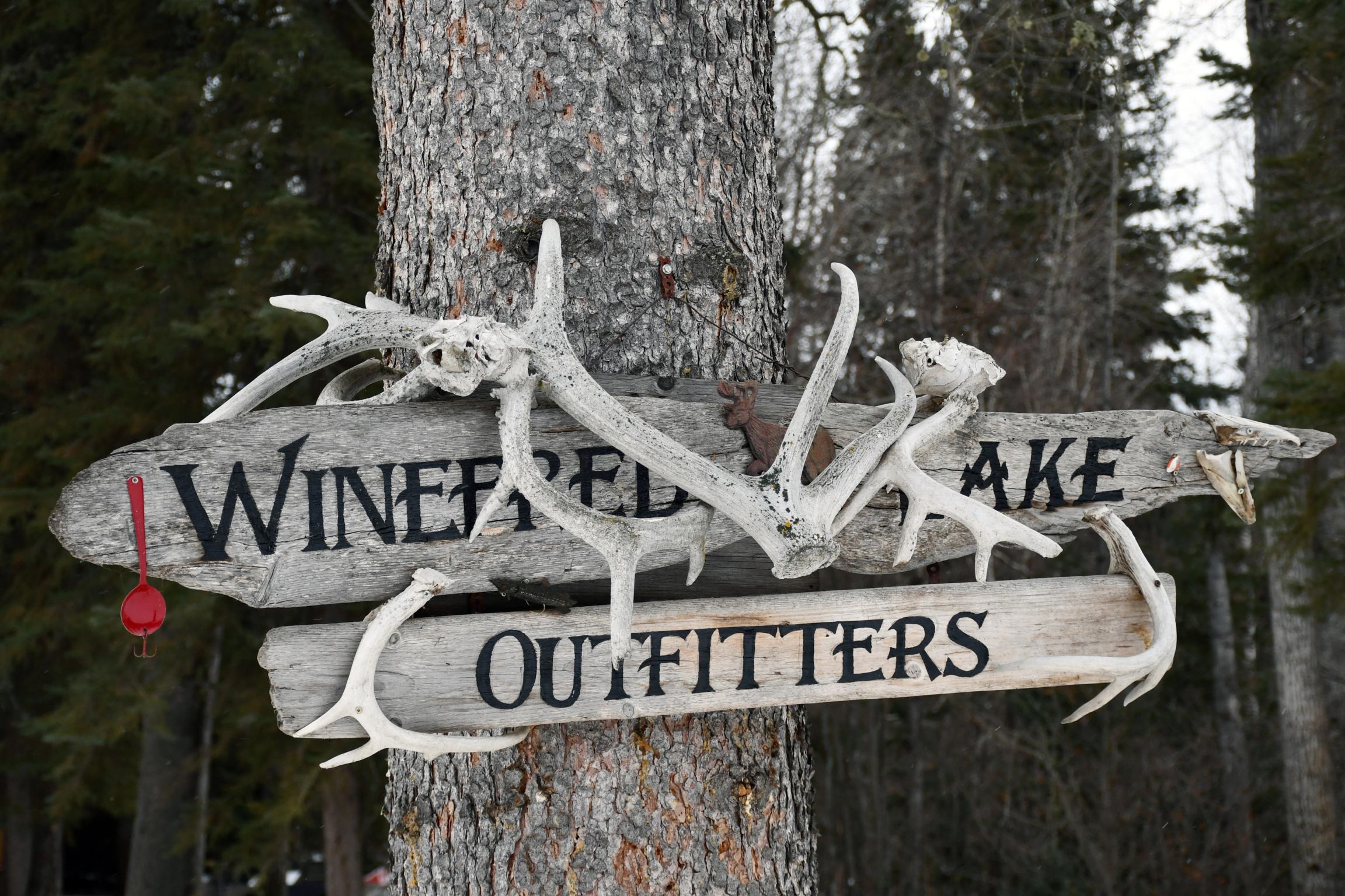 Winefred Lake Outfitters | Canada's Alberta