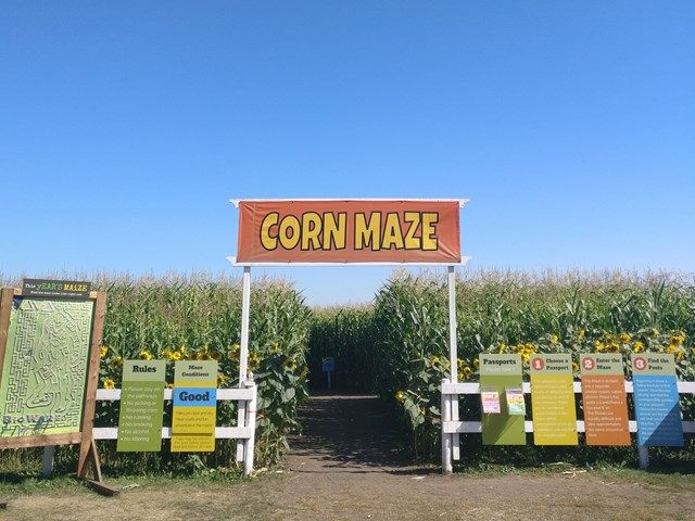 Edmonton Corn Maze | Canada's Alberta