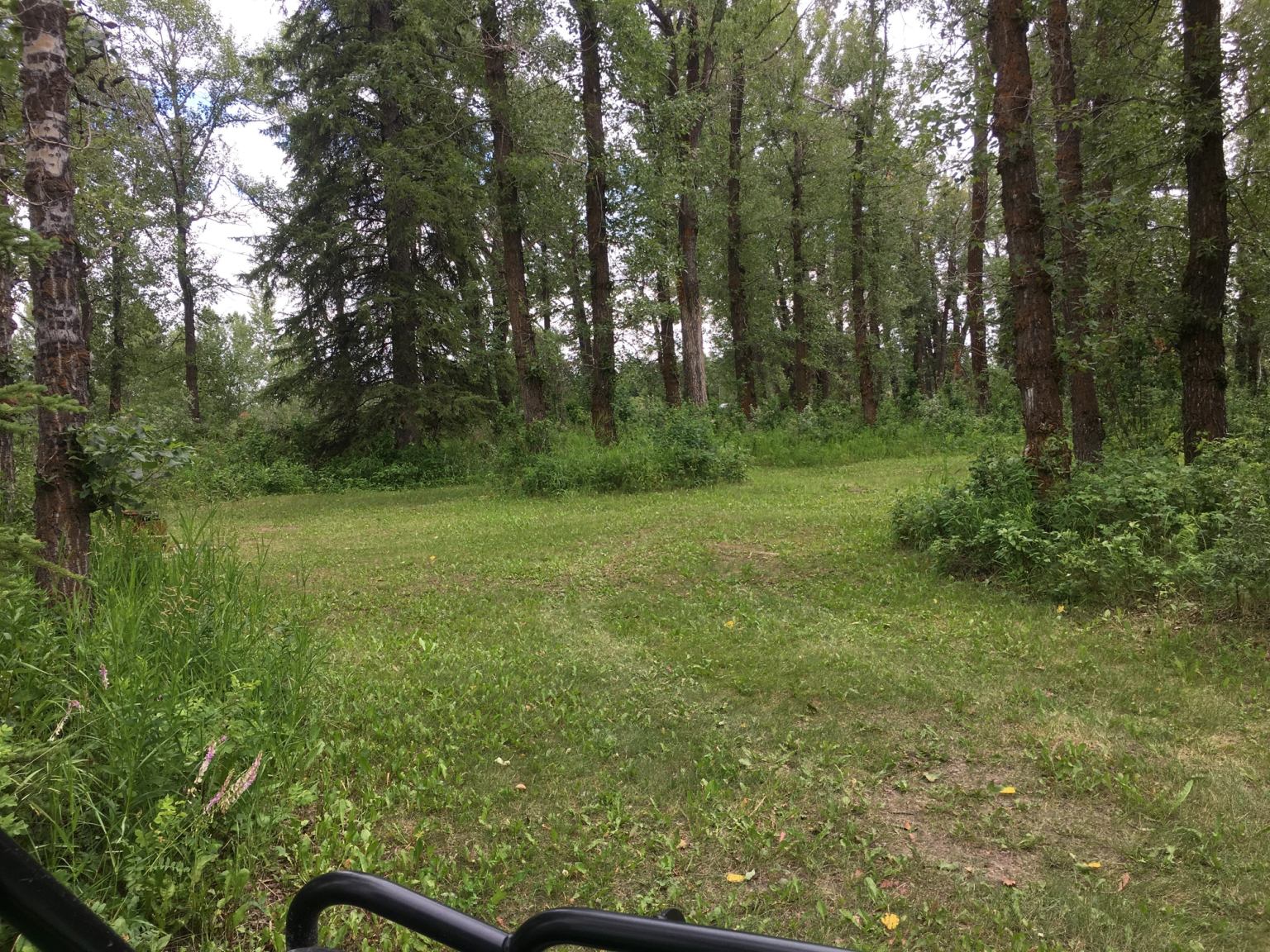 Millarville Racetrack Campground | Canada's Alberta