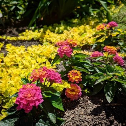 St. Albert Botanic Park | Canada's Alberta