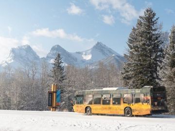Roam Public Transit | Canada's Alberta