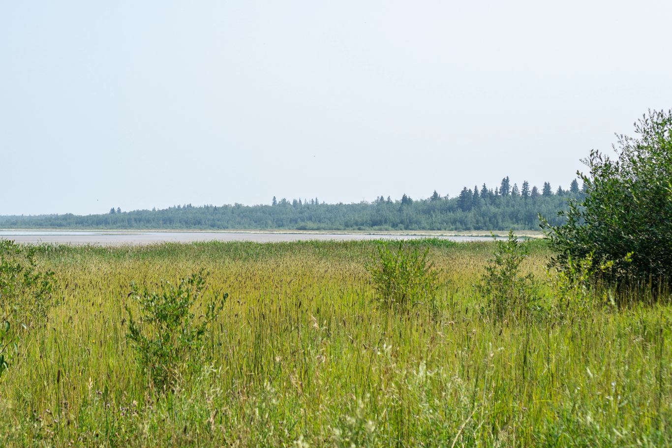 South Cooking Lake Park | Canada's Alberta