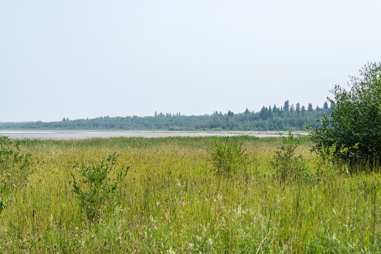 South Cooking Lake Park | Canada's Alberta