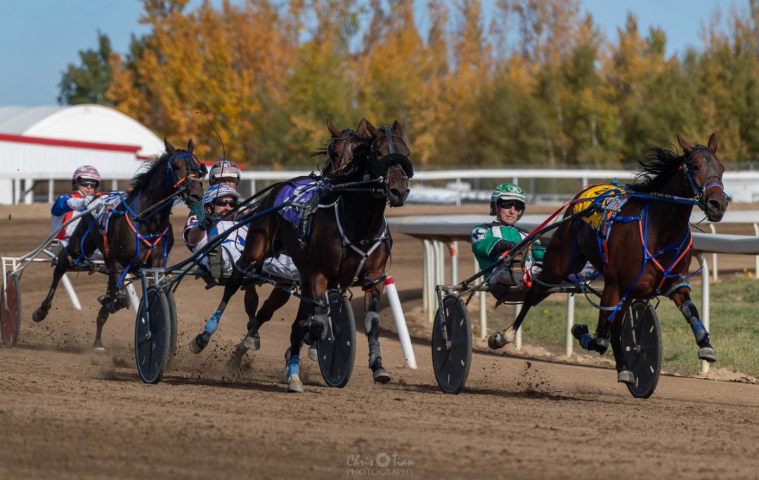 Century Mile Racetrack and Casino | Canada's Alberta
