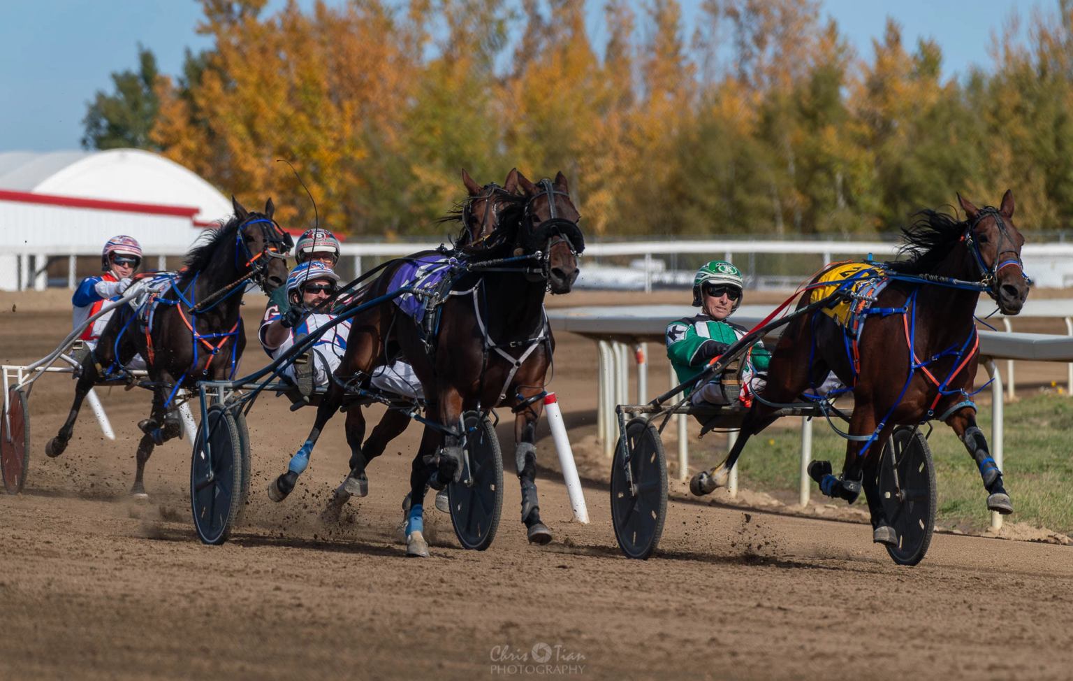 Century Mile Racetrack and Casino | Canada's Alberta