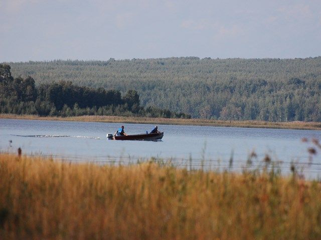 North Buck Lake Campground | Canada's Alberta