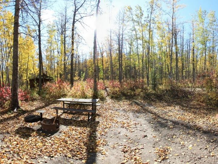 Pembina River Provincial Park | Canada's Alberta
