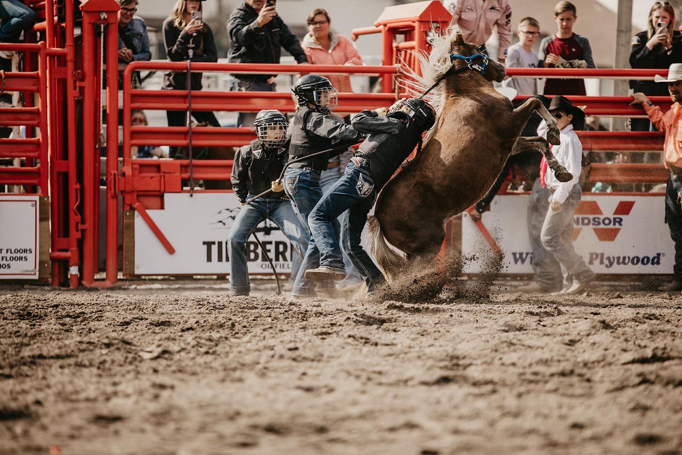Cochrane Lions Rodeo | Canada's Alberta